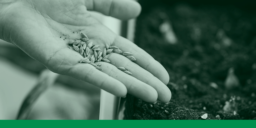 Home | CAMPUS VIRTUAL